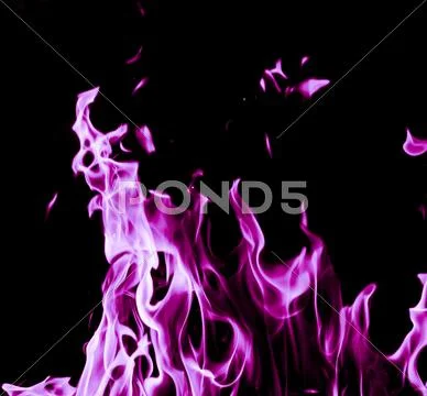 Photograph: Violet flame fire on black background #41889927