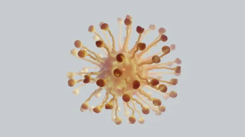 Viral Stock Footage ~ Royalty Free Stock Videos | Pond5