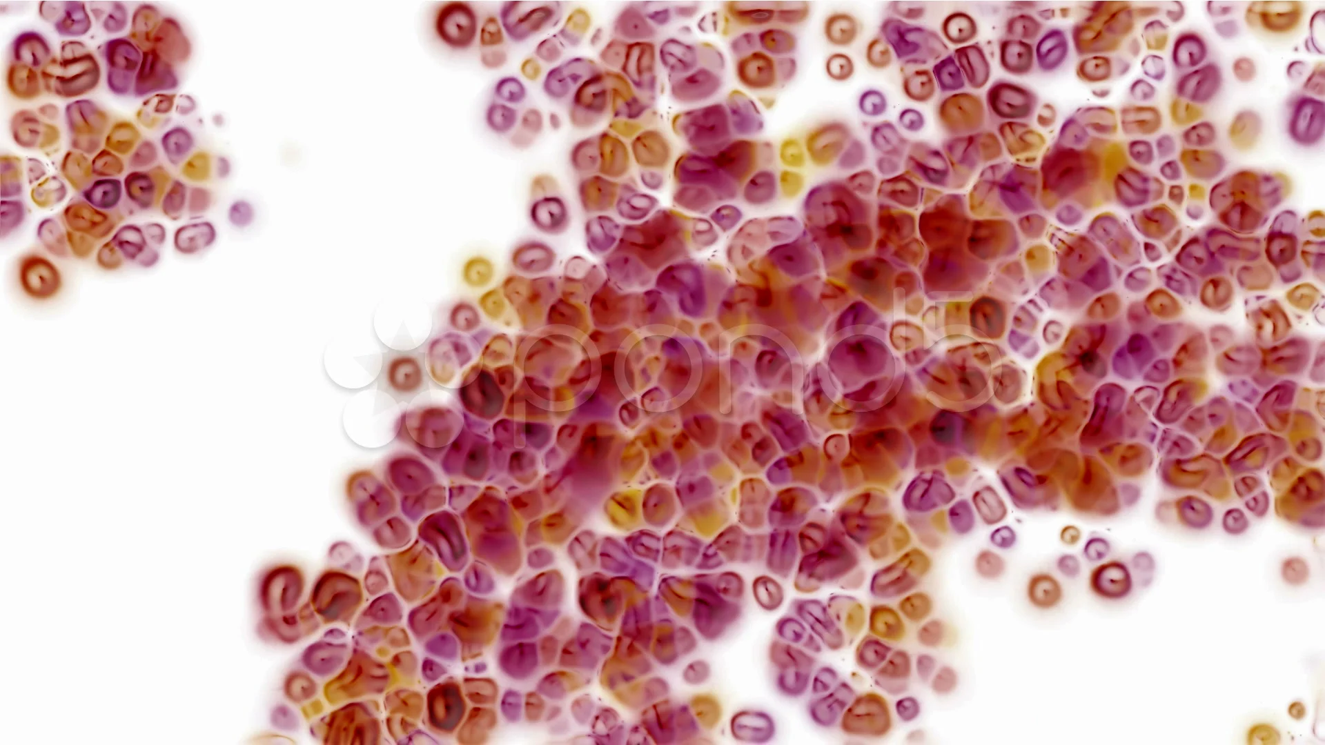 Virus Cell Under Microscope