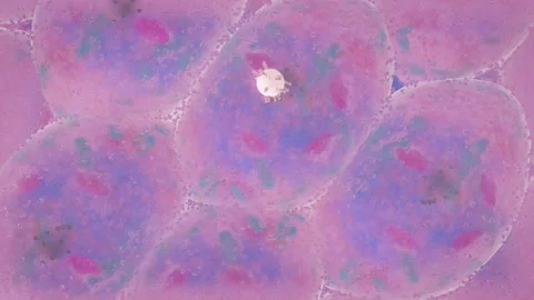 Virus attached to the cell receptor inje... | Stock Video | Pond5