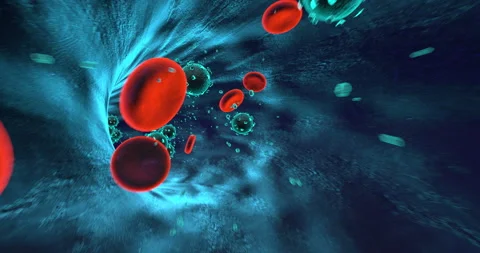 Virus Infected Human Body. Viruses And b... | Stock Video | Pond5