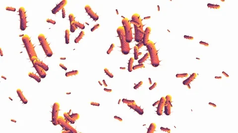 Virus plague animation 3d rendering back... | Stock Video | Pond5