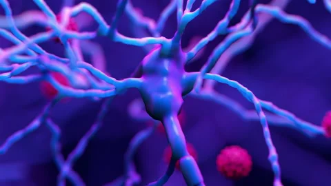Viruses attacking nerve cells, animation | Stock Video | Pond5