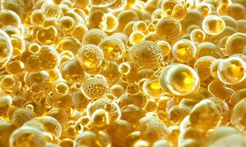 Fat Cells Stock Videos – Royalty-Free HD & 4K Videos | Pond5