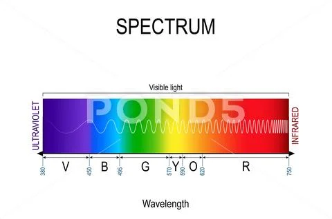 Visible spectrum color. infographic of sunlight color Illustration ...
