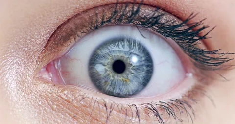 Vision, eye and surprise of woman eyes i... | Stock Video | Pond5