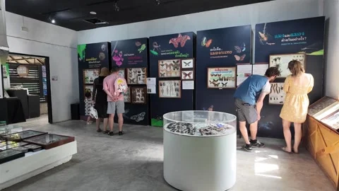 Visitors viewing exhibits at Siam Insect... | Stock Video | Pond5