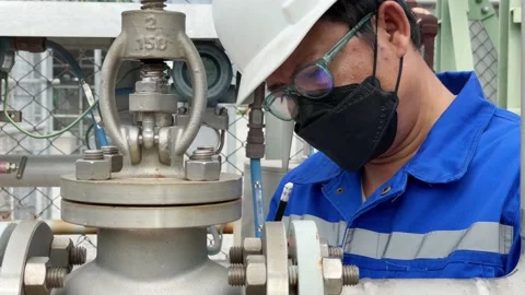 Visual Of The Stock Videos – Royalty-Free HD & 4K Videos