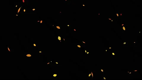 Visual effects, VFX, falling leaves on b... | Stock Video | Pond5