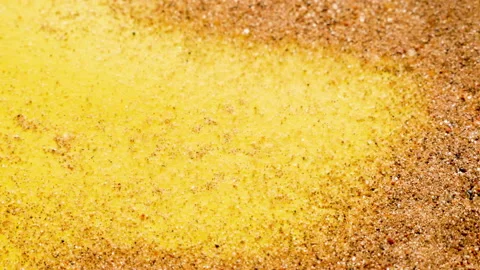 Propagation Sound Stock Video Footage | Royalty Free Propagation Sound ...