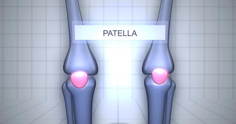 Visualization Skeleton medical animation... | Stock Video | Pond5