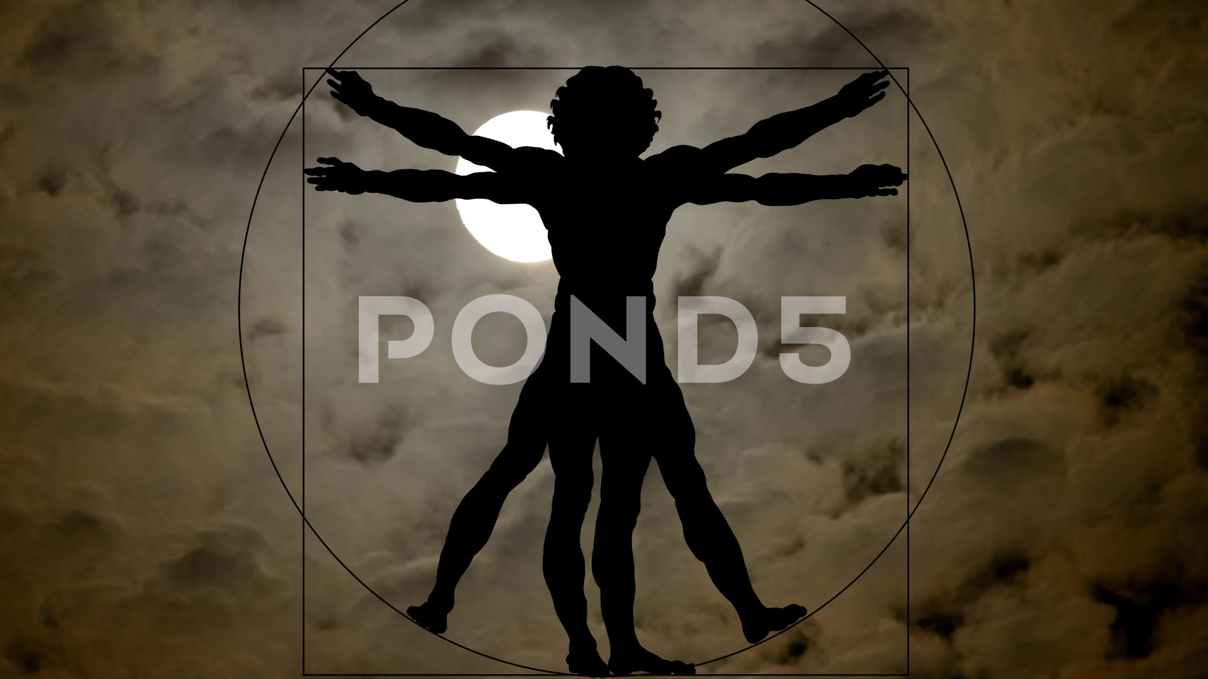 Vitruvian Man Silhouette
