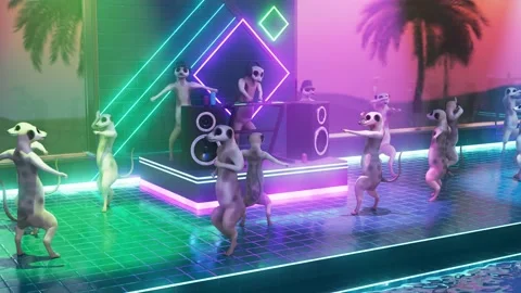 vj loop meerkat dance vaporwave synthwav... | Stock Video | Pond5