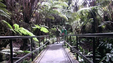 National Tubec Stock Videos – Royalty-Free HD & 4K Videos | Pond5