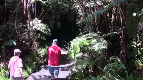 Volcano Tubes Hawaii Stock Videos – Royalty-Free HD & 4K Videos | Pond5