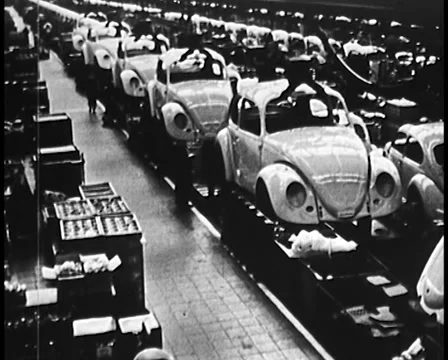 Beetle Stock Footage ~ Royalty Free Stock Videos | Pond5