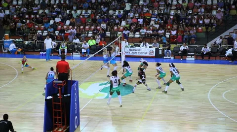Volleyball Women In Stock Videos – Royalty-Free HD & 4K Videos | Pond5