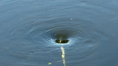 Whirlpool Vortex Water Stock Videos – Royalty-Free HD & 4K Videos