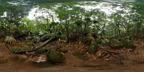 360 Vr Nature Stock Footage ~ Royalty Free Stock Videos | Pond5