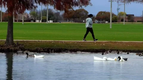 Read and Stop Stock Videos – Royalty-Free HD & 4K Videos | Pond5