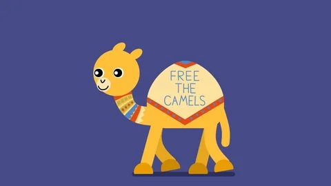 Walk cycle animation of a baby camel pro... | Stock Video | Pond5