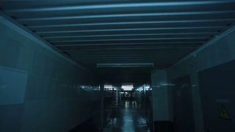 Endless Hallway Stock Footage ~ Royalty Free Stock Videos | Pond5