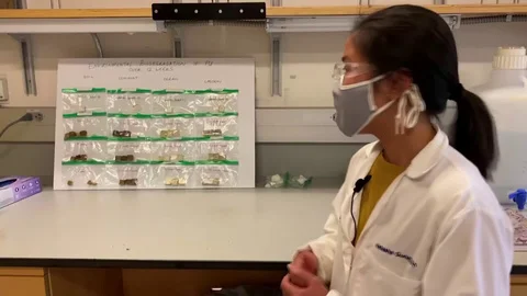 Flip Flops Here Stock Videos – Royalty-Free HD & 4K Videos | Pond5