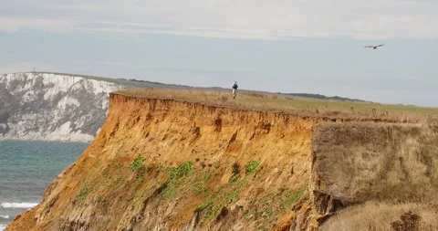 A walker with a Kestrel overhead on coll... | Stock Video | Pond5