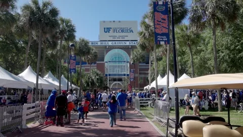 Walking Gator Stock Videos – Royalty-Free HD & 4K Videos