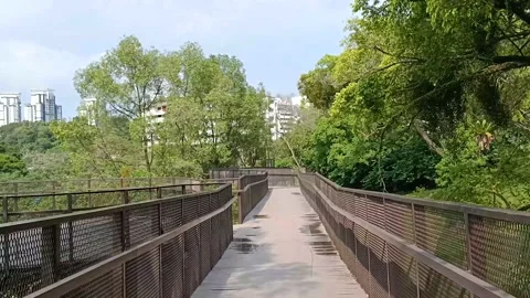 Walking on a board walk walkway in a Par... | Stock Video | Pond5