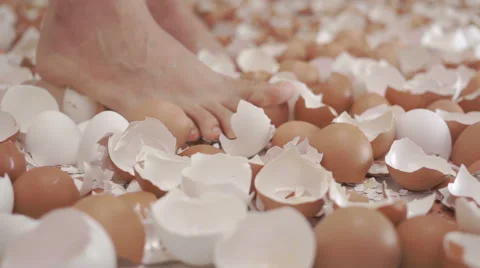 Egg Is Walking Stock Videos – Royalty-Free HD & 4K Videos | Pond5