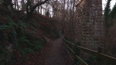 Walking Down Forest Path Under Stone Bri... | Stock Video | Pond5