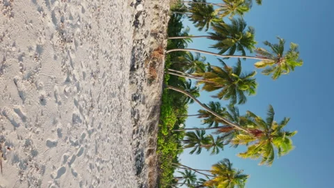 Walking in first person at Tropical beac... | Stock Video | Pond5