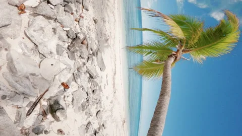 Walking in first person at Tropical beac... | Stock Video | Pond5