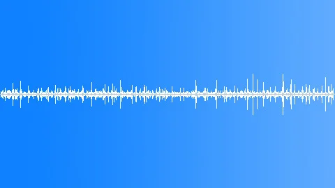 Walking in Forest Footsteps With Birds Singing ~ Sound Effect #260557756