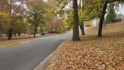 Walking Park Fall Leaves | Stock Video | Pond5