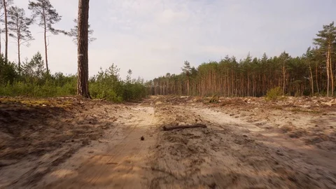 walking on a sandy road in the field aft... | Stock Video | Pond5