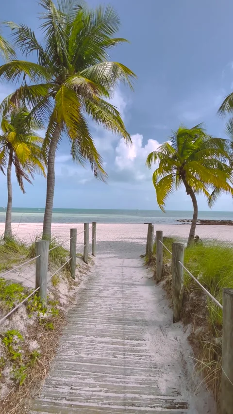 Walking on scenic path to tropical Smath... | Stock Video | Pond5