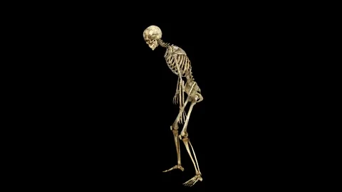 Skeleton Walking Stock Footage ~ Royalty Free Stock Videos | Pond5