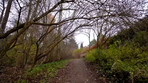 walking through a pathway into the fores... | Stock Video | Pond5