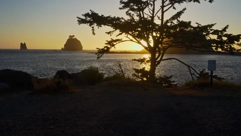 La Push Beach Stock Videos – Royalty-Free HD & 4K Videos | Pond5