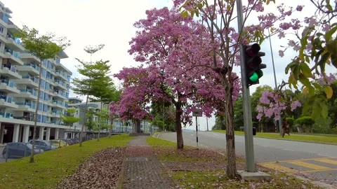 Noise Under Stock Videos – Royalty-Free HD & 4K Videos