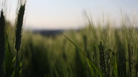 Avoid Walking On Stock Videos – Royalty-Free HD & 4K Videos | Pond5