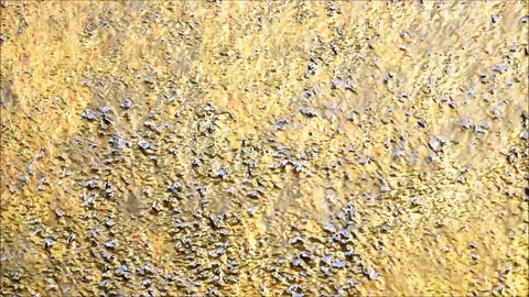 wall waterfall, spa background, garden d... | Stock Video | Pond5