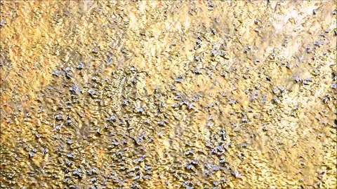 wall waterfall, spa background, garden d... | Stock Video | Pond5