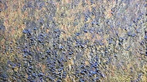 wall waterfall, spa background, garden d... | Stock Video | Pond5