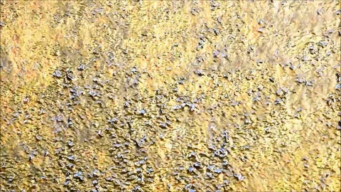 wall waterfall, spa background, garden d... | Stock Video | Pond5