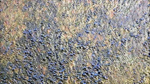 wall waterfall, spa background, garden d... | Stock Video | Pond5