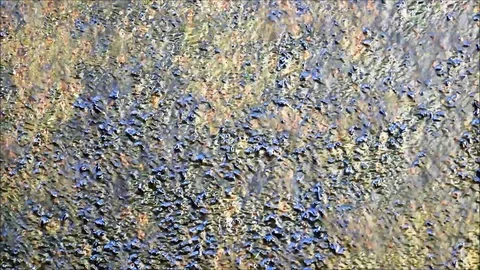 wall waterfall, spa background, garden d... | Stock Video | Pond5