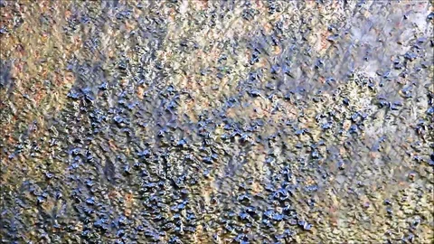 wall waterfall, spa background, garden d... | Stock Video | Pond5